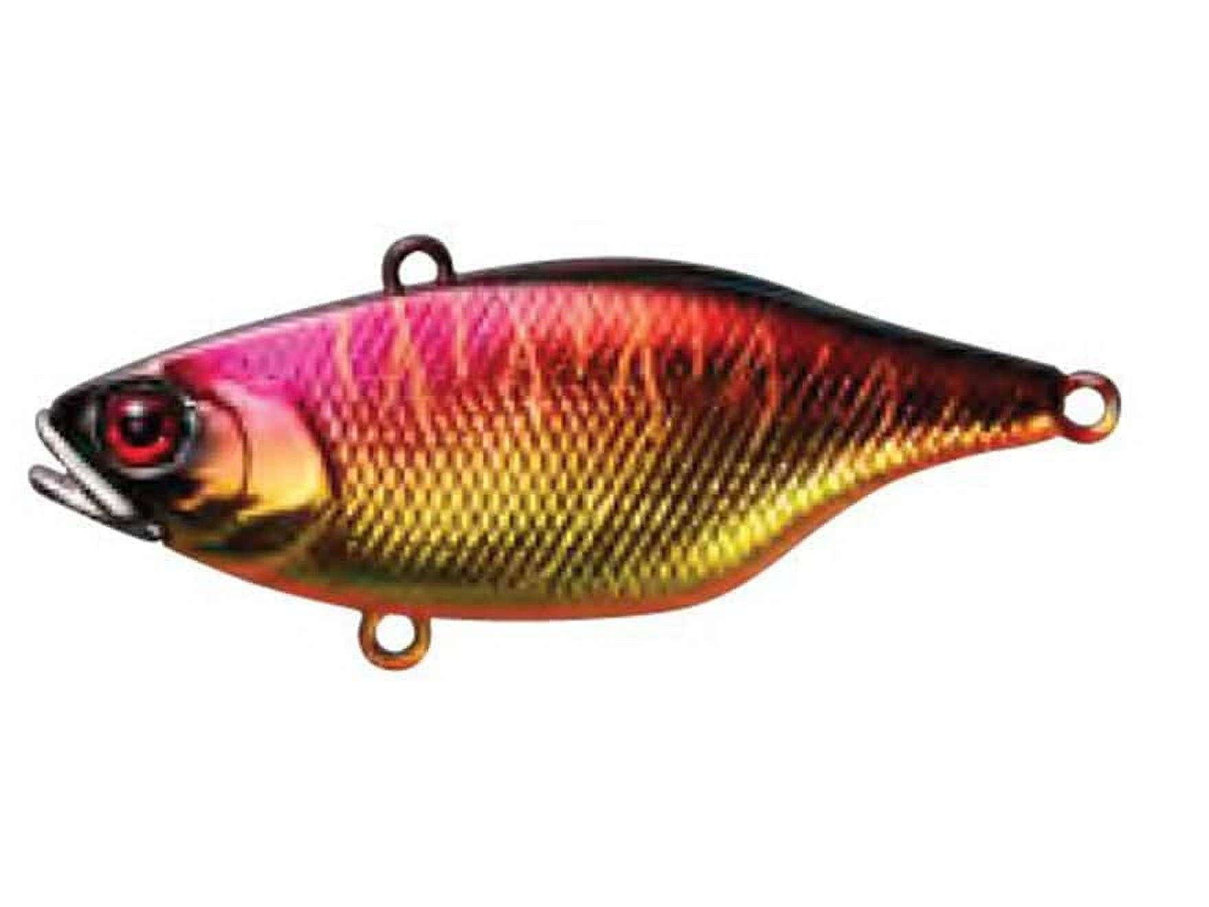 Jackall Fishing TN60 SPAWN TIGER Lipless Crank Baits [JTN60-SPT ...