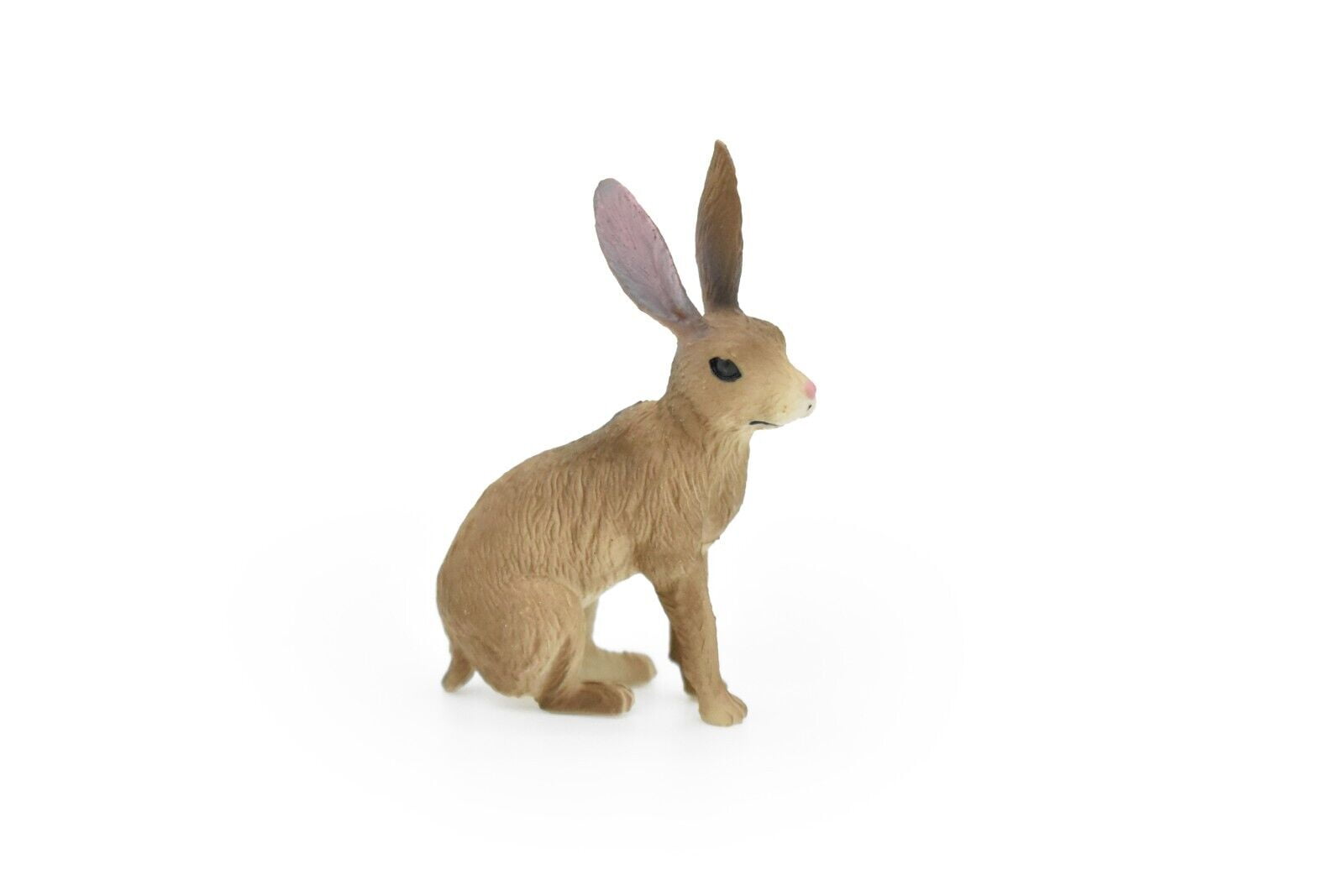 Jackrabbit Toy, Hare, Very Realistic Rubber Figure, Model, Educational ...