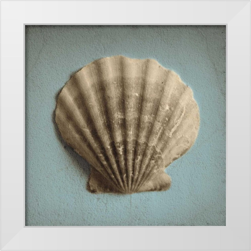 Jacks, Heather 26x26 White Modern Wood Framed Museum Art Print Titled - Seashell Study II ...