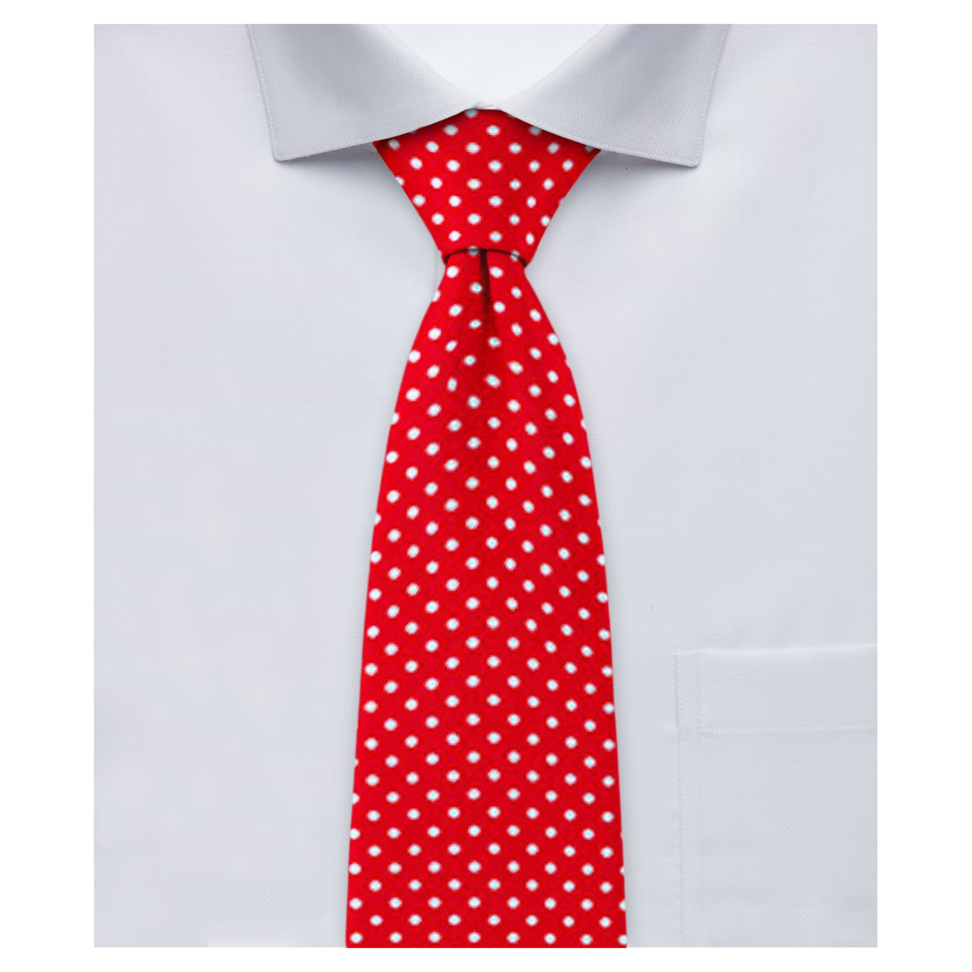 Jacob Alexander Boys' 14 inch Polka Dot Print Pre-Tied Zipper Neck Tie ...