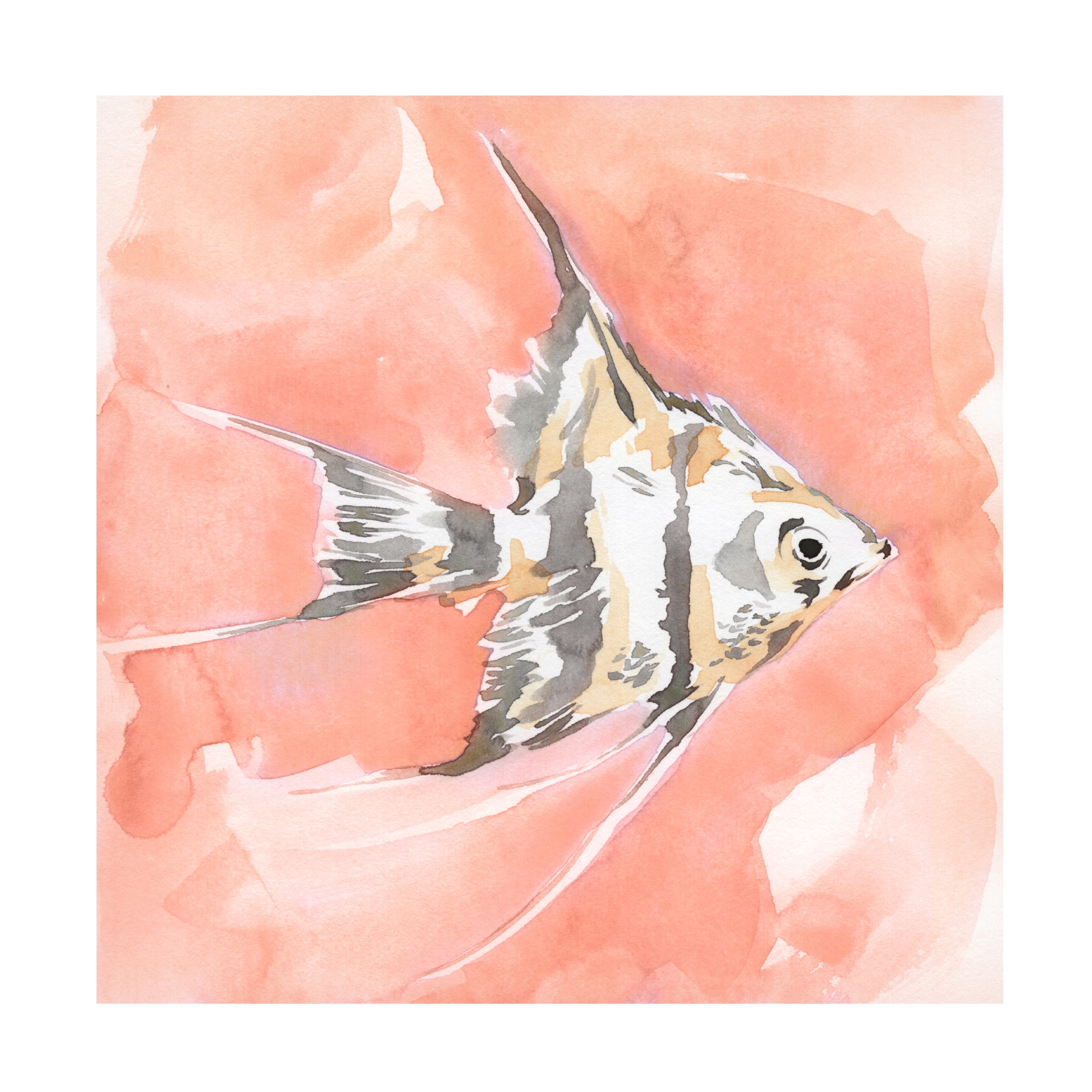 Jacob Green 'Blush and Ochre Angel Fish I' Canvas Art - Walmart.com