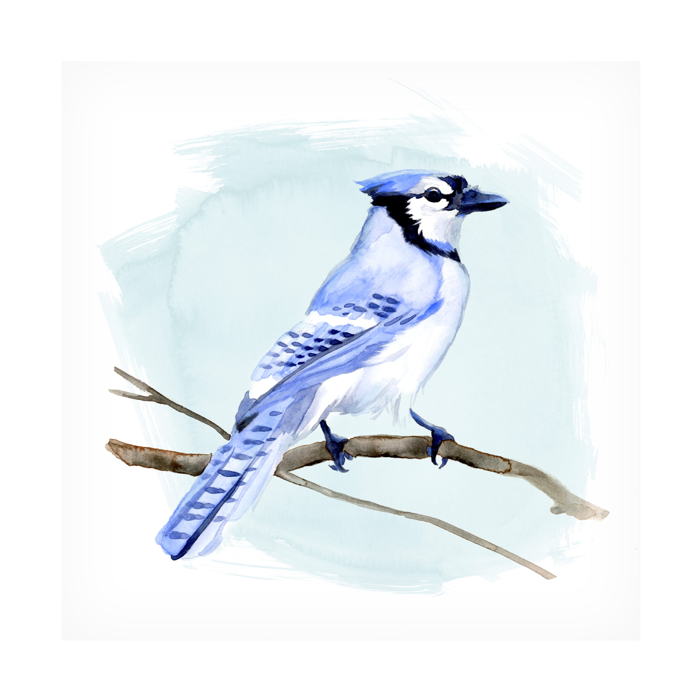 Free Shipping! Trademark Fine Art Jacob Green Coastal Blue Jay I Canvas ...