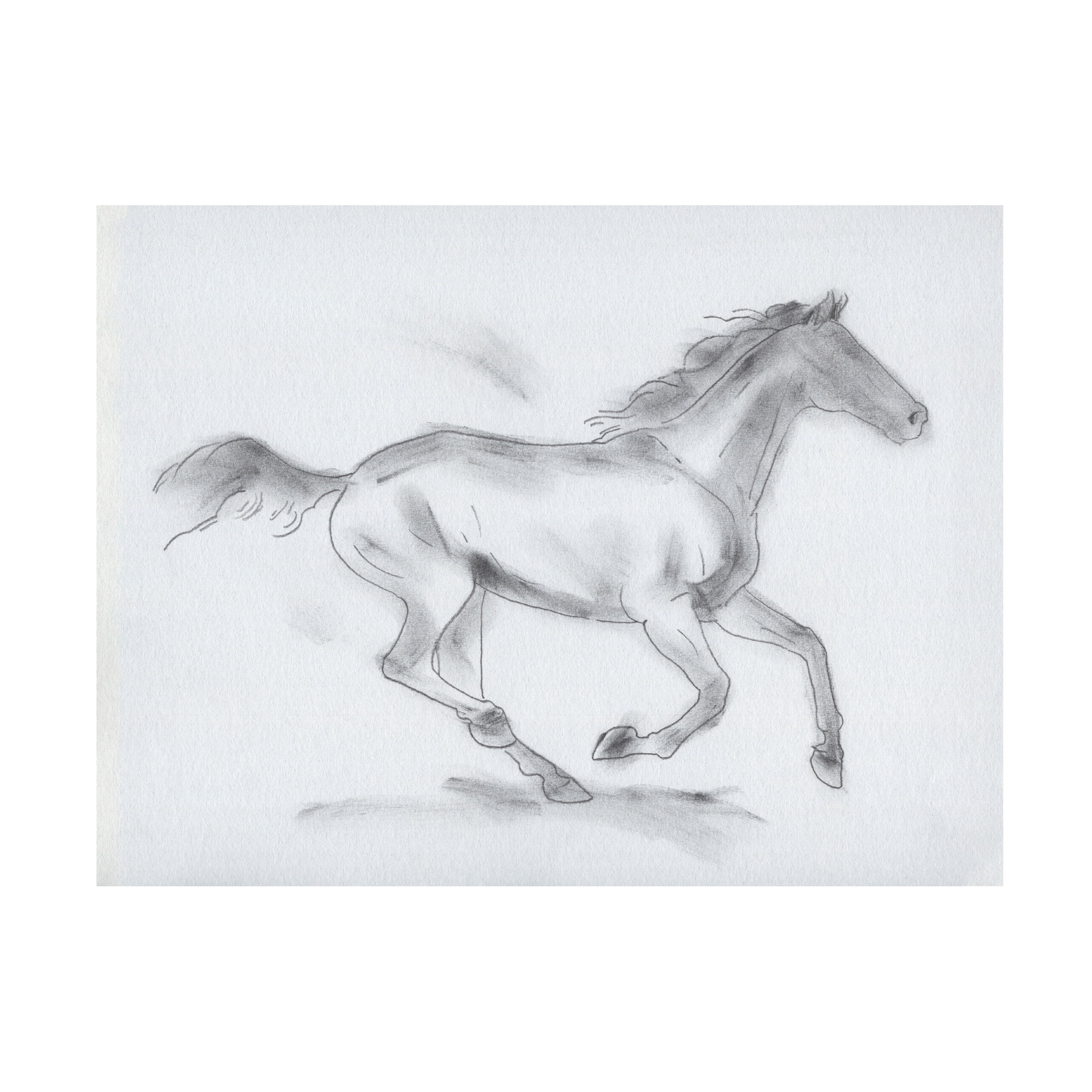 Jacob Green 'Smoke Stallion I' Canvas Art - Walmart.com