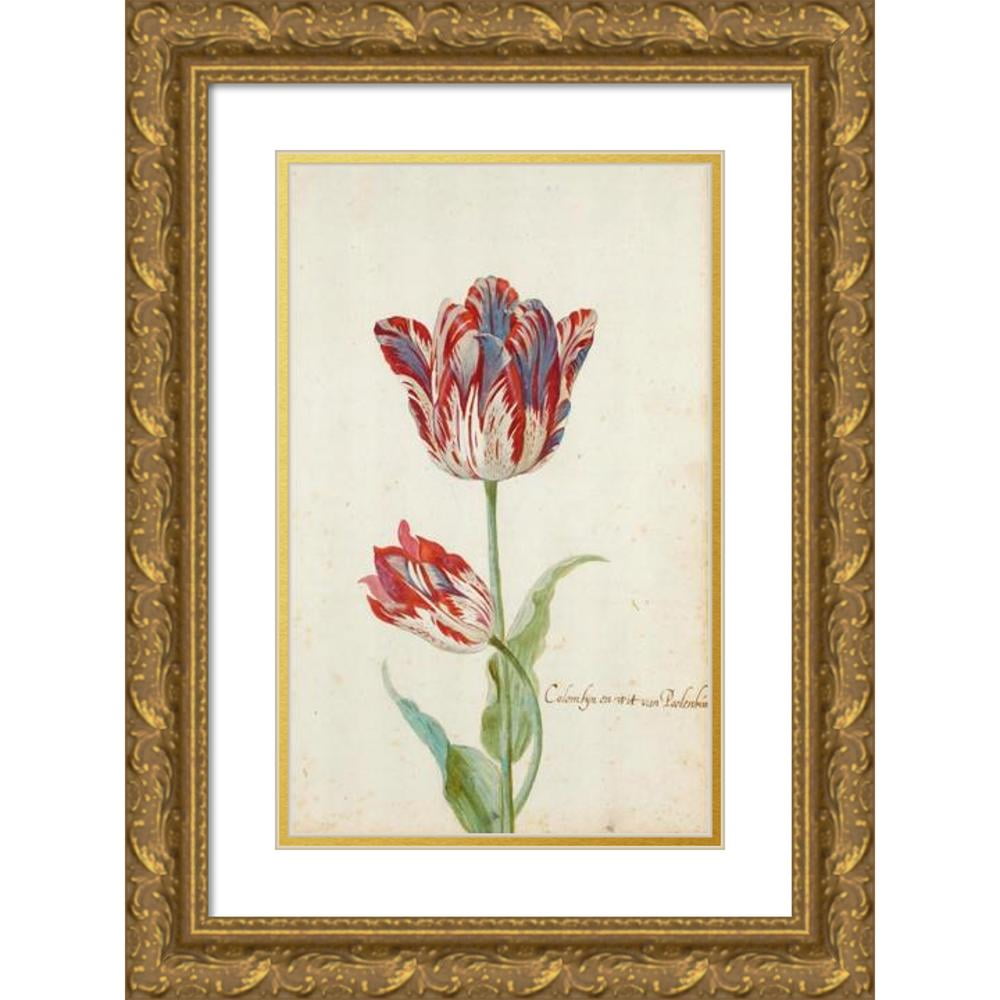 Jacob Marrel 17x24 Gold Ornate Framed and Double Matted Museum Art ...