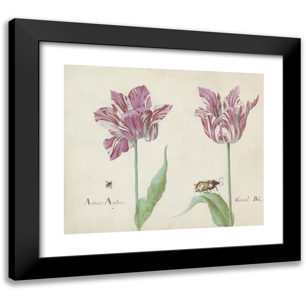 Jacob Marrel 23x20 Black Modern Framed Museum Art Print Titled - Two ...