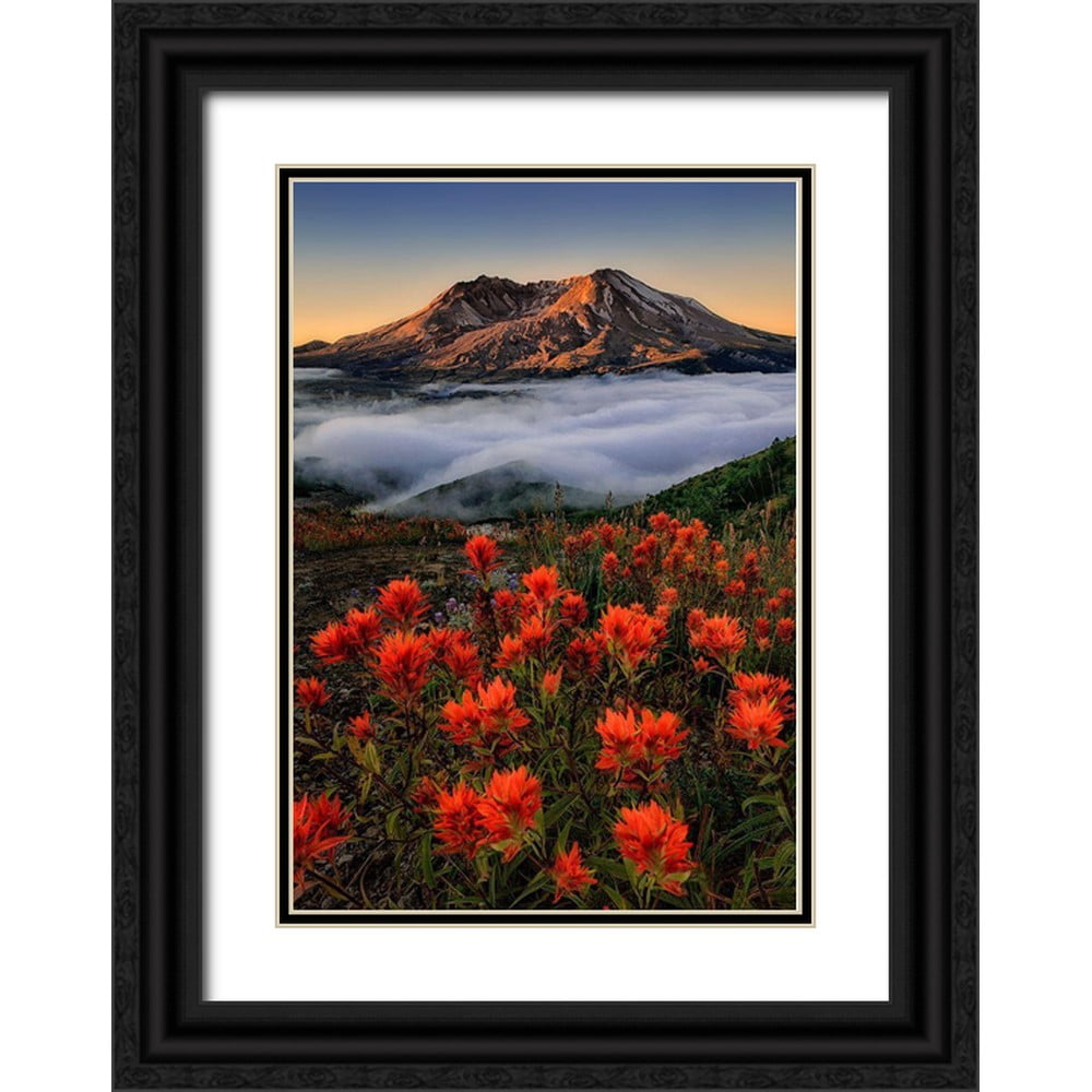 Jacobs, Lydia 14x18 Black Ornate Wood Framed with Double Matting Museum ...