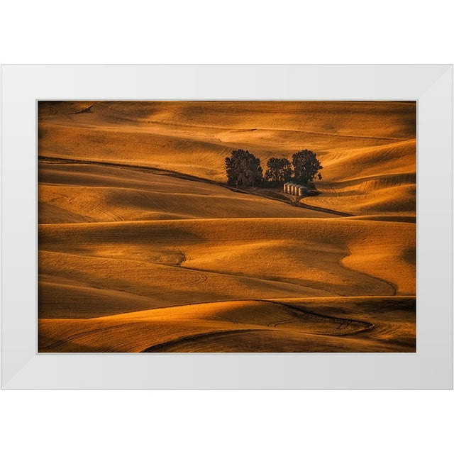 Jacobs, Lydia 18x13 White Modern Wood Framed Museum Art Print Titled ...