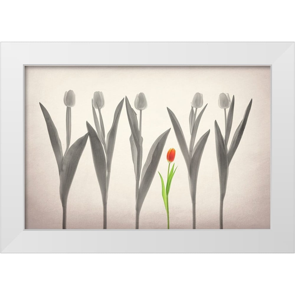 Jacobs, Lydia 32x23 White Modern Wood Framed Museum Art Print Titled ...