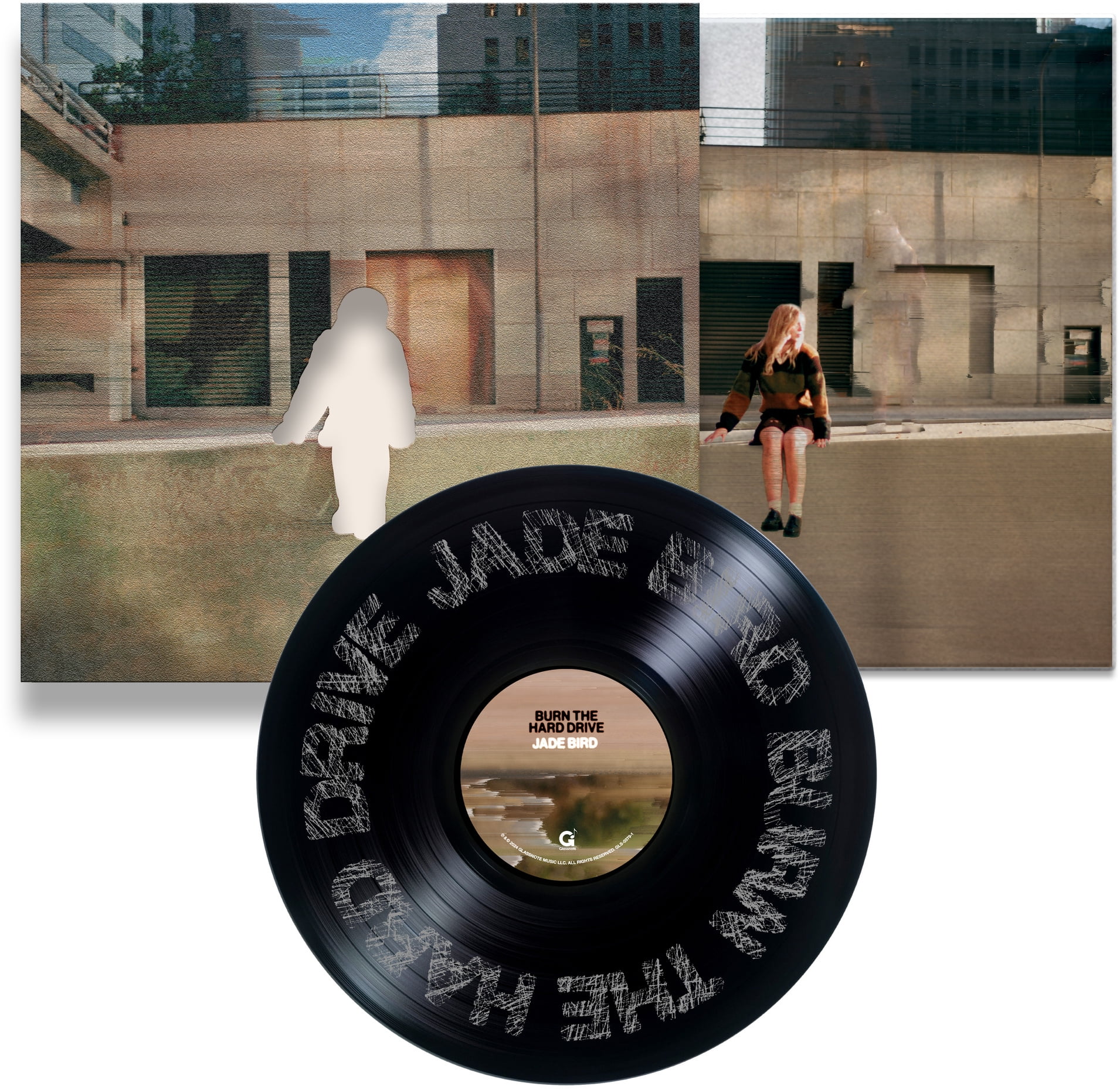 Jade Bird - Burn The Hard Drive - Music & Performance - Vinyl - Walmart ...