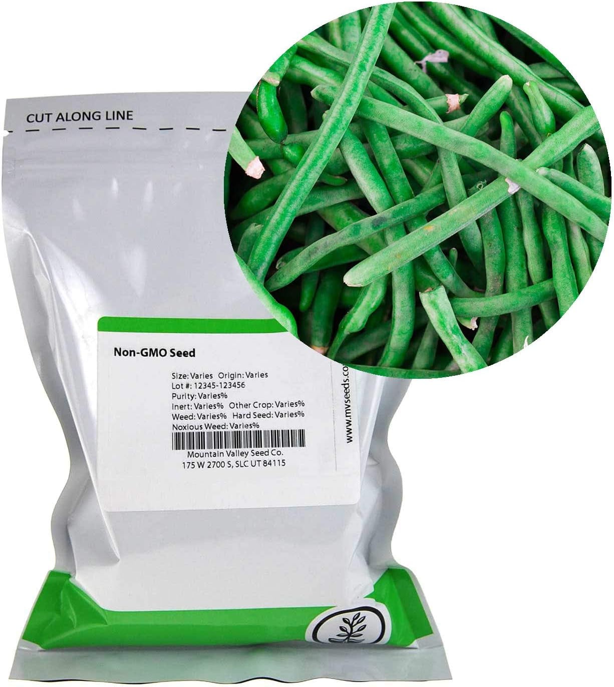 Jade Bush Bean Seed (Treated) - 1 Lb - Non-GMO, Heirloom Green Bean ...