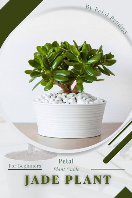 Jade Plant: Prodigy Petal, Plant Guide - Walmart.com
