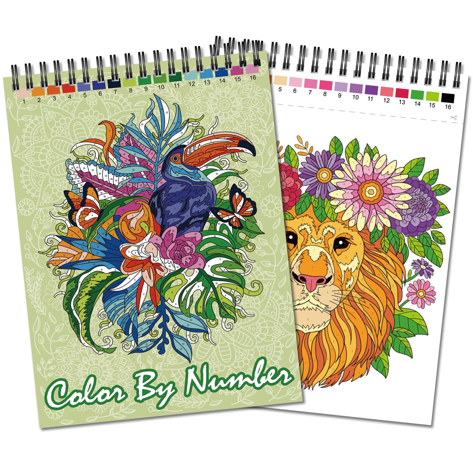Jadeso Color by Numbers TSF6 Adult Coloring Book, 30 Pages of Original ...