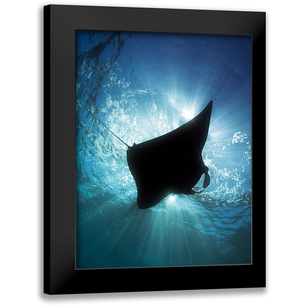 Jager, Henry 12x14 Black Modern Framed Museum Art Print Titled - Manta ...