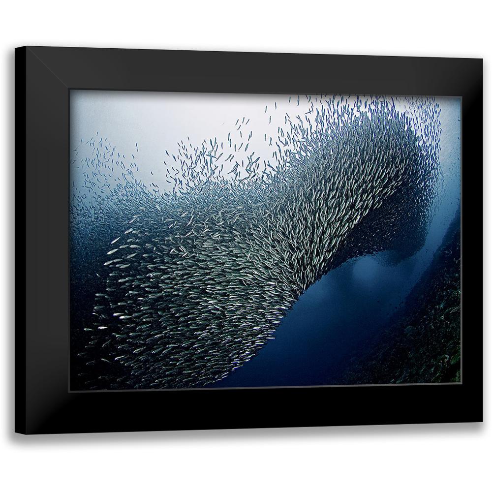 Jager, Henry 14x12 Black Modern Framed Museum Art Print Titled ...