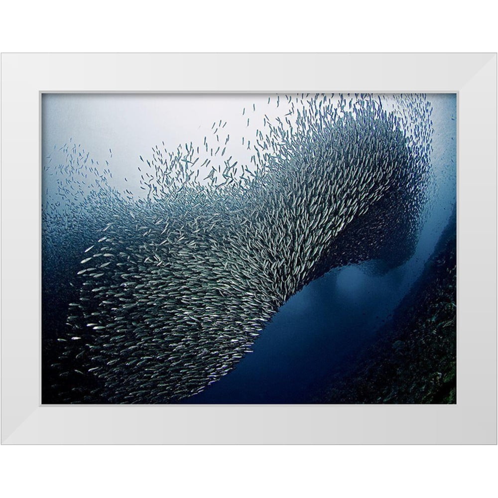 Jager, Henry 14x12 White Modern Wood Framed Museum Art Print Titled ...