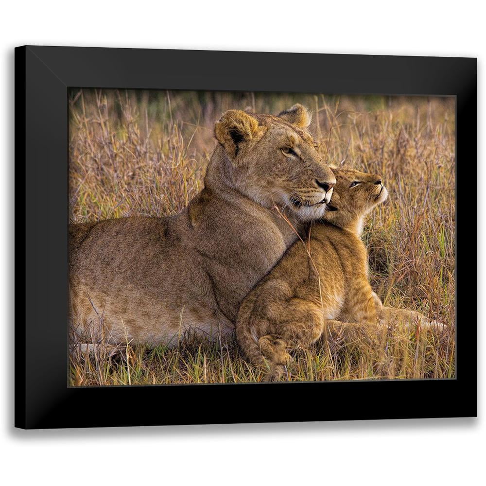 Jager, Henry 18x15 Black Modern Framed Museum Art Print Titled - Baby ...