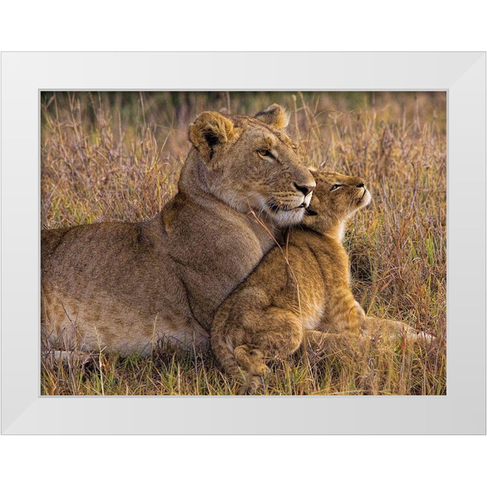 Jager, Henry 18x15 White Modern Wood Framed Museum Art Print Titled ...