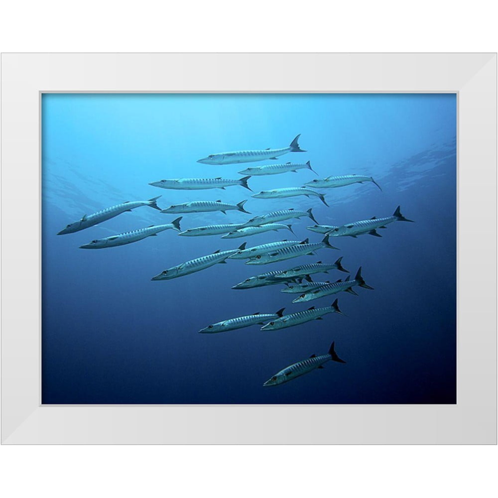 Jager, Henry 18x15 White Modern Wood Framed Museum Art Print Titled ...
