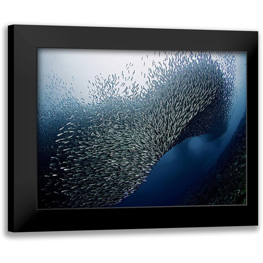 Jager, Henry 24x19 Black Modern Framed Museum Art Print Titled ...