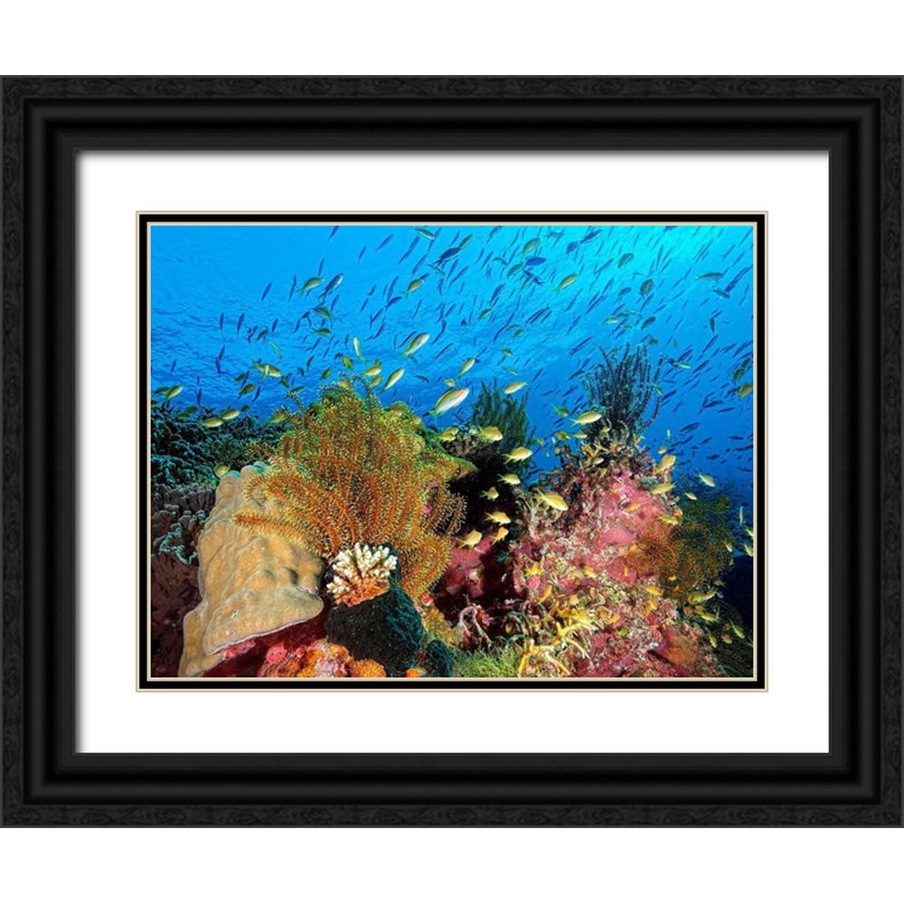 Jager, Henry 24x19 Black Ornate Wood Framed with Double Matting Museum ...