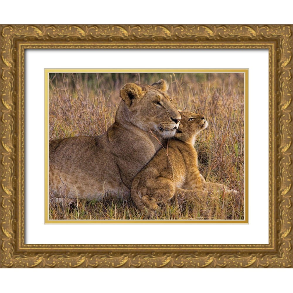 Jager, Henry 32x25 Gold Ornate Wood Framed with Double Matting Museum ...