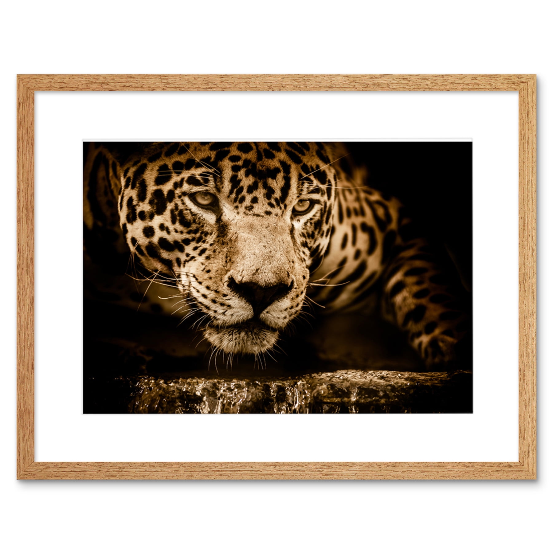 Jaguar Head Big Cat Framed Wall Art Print - Walmart.com