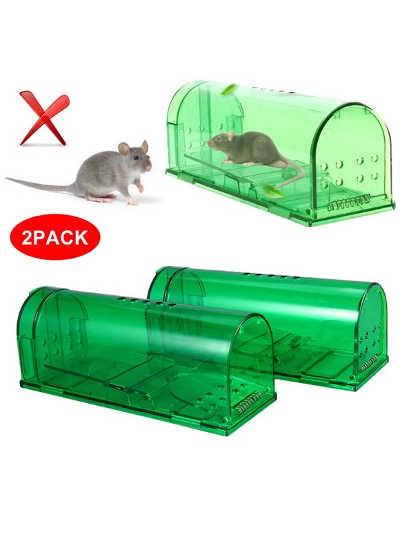 Mouse Trap in Mouse - Walmart.com