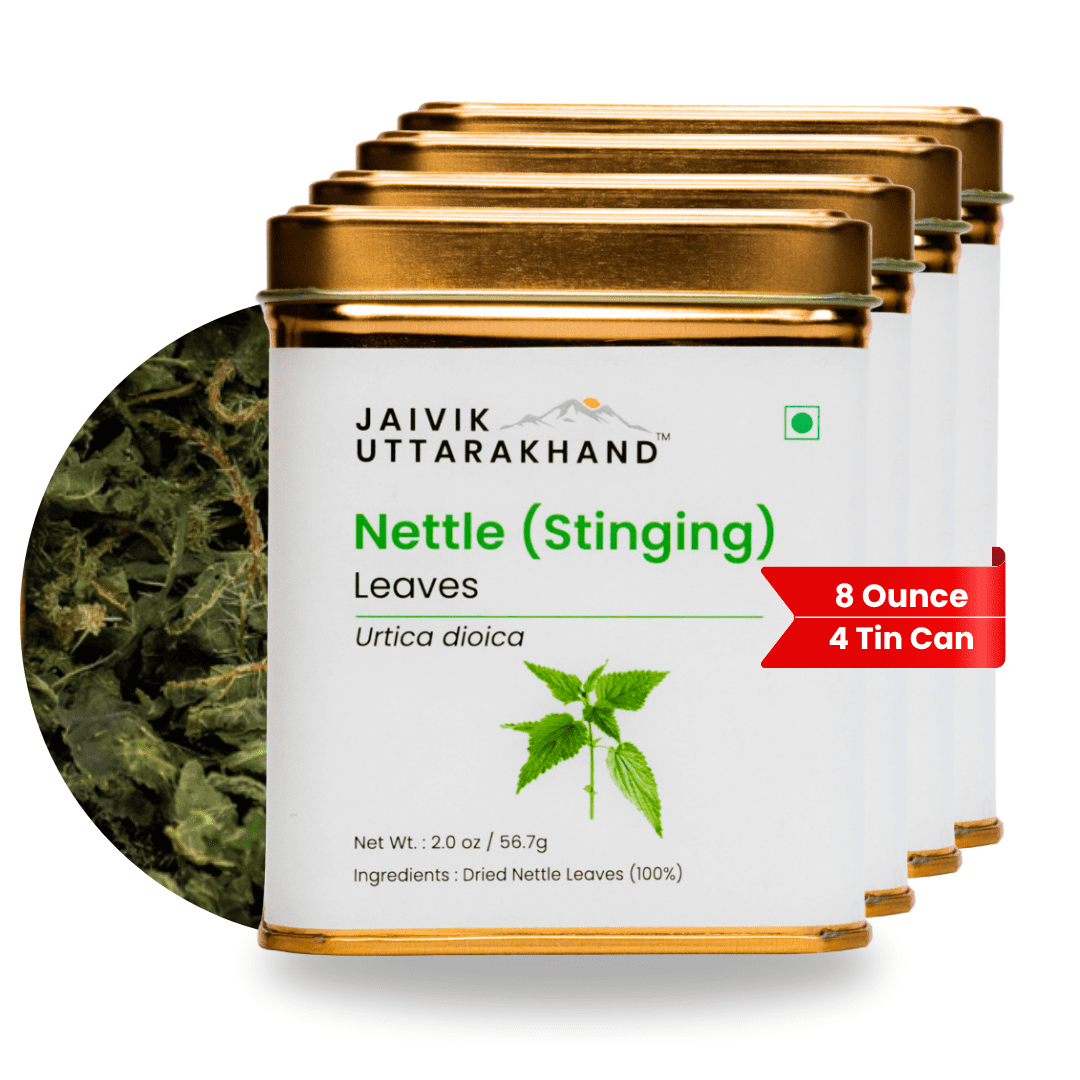Jaivik Uttarakhand - Dried Nettle Leaf Tea (8 oz), Cut Sifted stinging ...