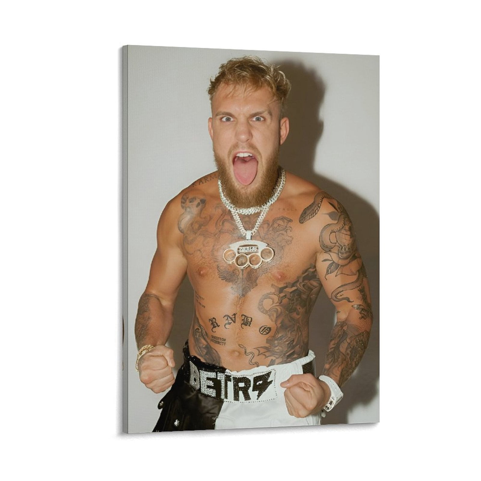 Jake Paul Art Boxing Arena Poster Painting On Canvas Wall Art Poster ...