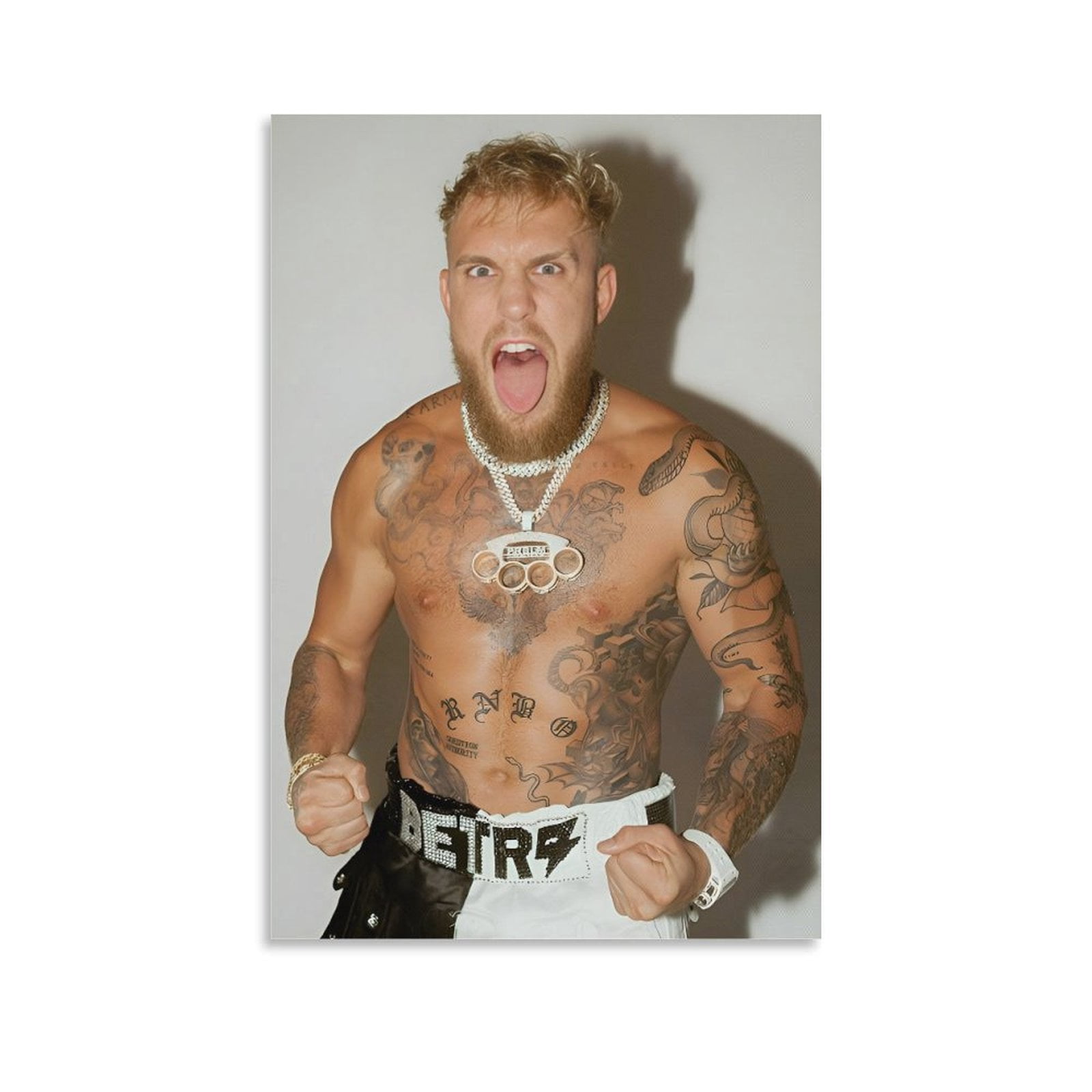 Jake Paul Art Boxing Arena Poster Posters Art Print Wall Photo Paint ...