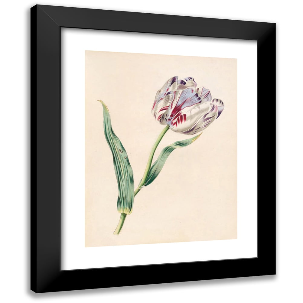 James Ackerman 19x24 Black Modern Framed Museum Art Print Titled - The ...