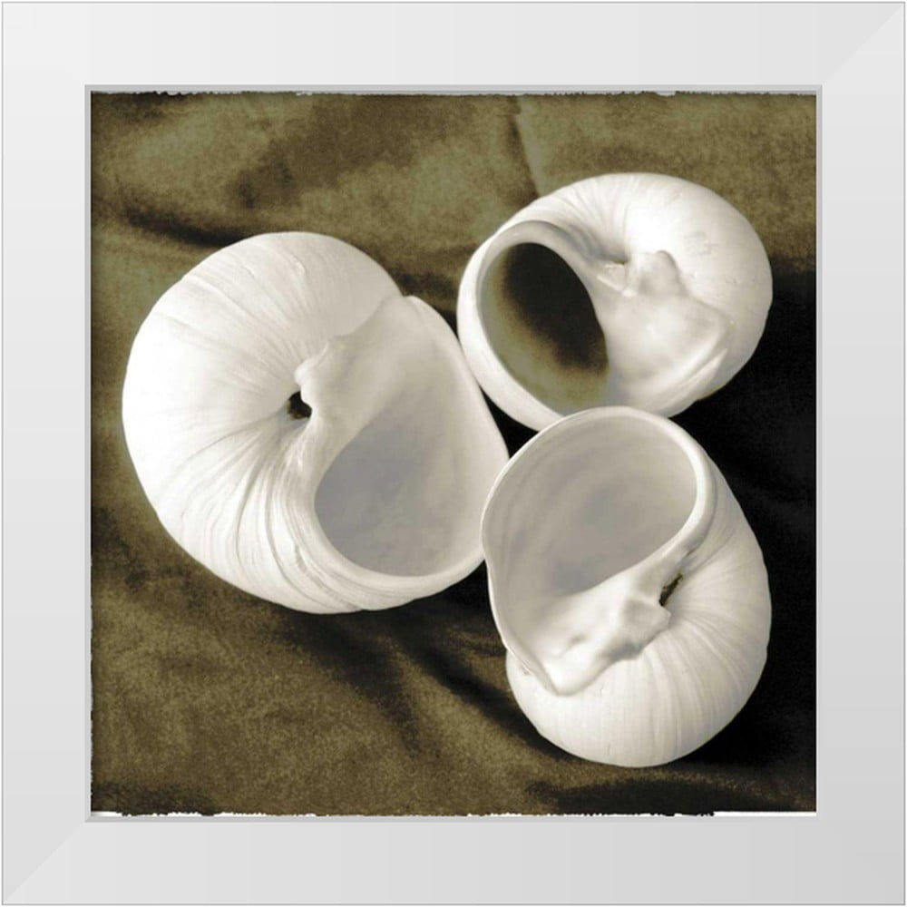 James, Andrea 26x26 White Modern Wood Framed Museum Art Print Titled ...