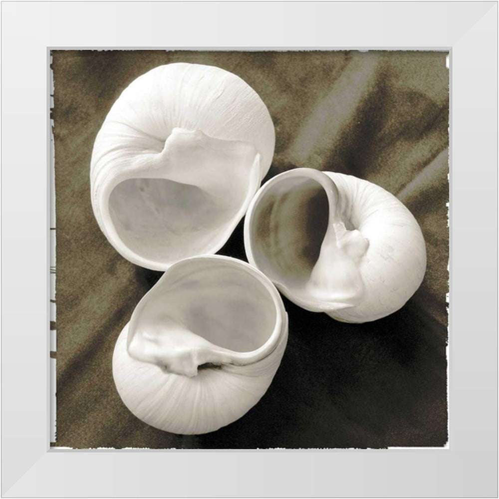 James, Andrea 26x26 White Modern Wood Framed Museum Art Print Titled ...