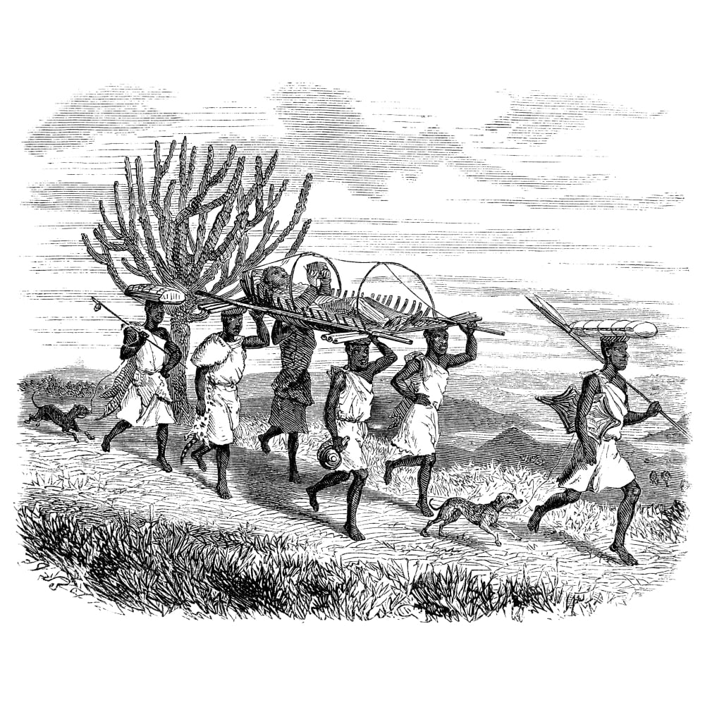 James Augustus Grant N(1827-1892). British Soldier And Explorer In ...