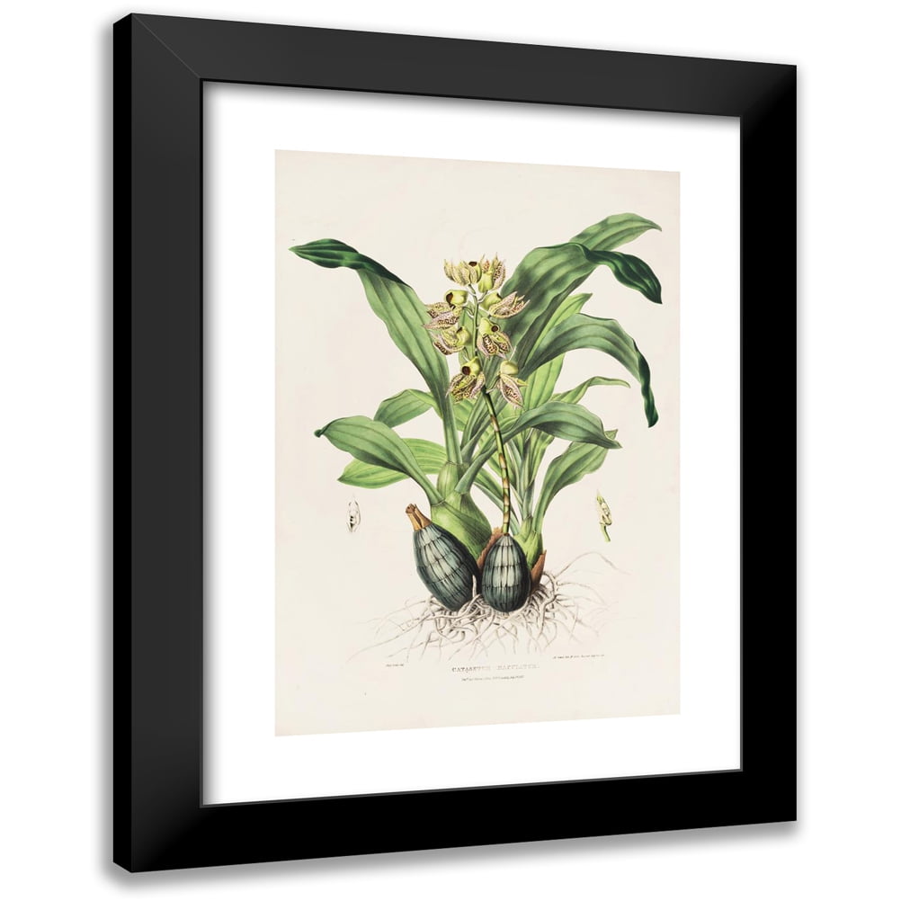 James Bateman 11x14 Black Modern Framed Museum Art Print Titled ...