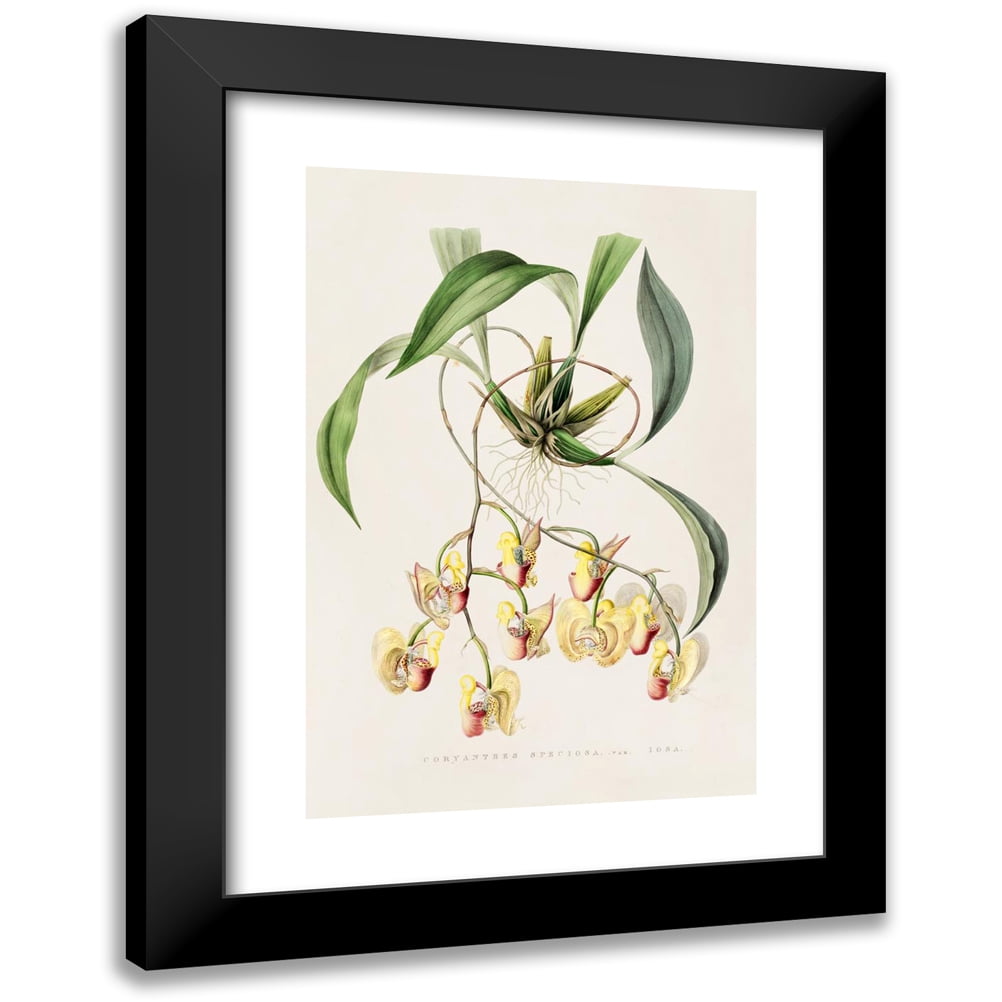 James Bateman 11x14 Black Modern Framed Museum Art Print Titled ...