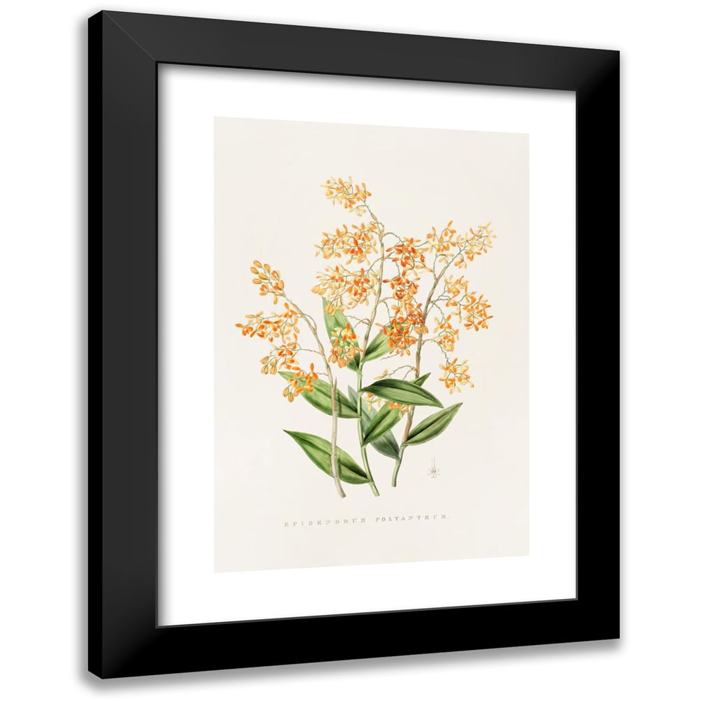 James Bateman 11x14 Black Modern Framed Museum Art Print Titled ...