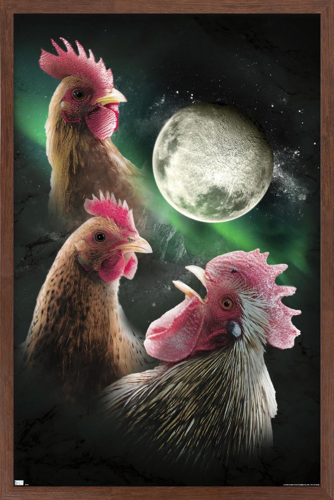 James Booker - 3 Chicken Moon Wall Poster, 14.725" x 22.375" Framed ...