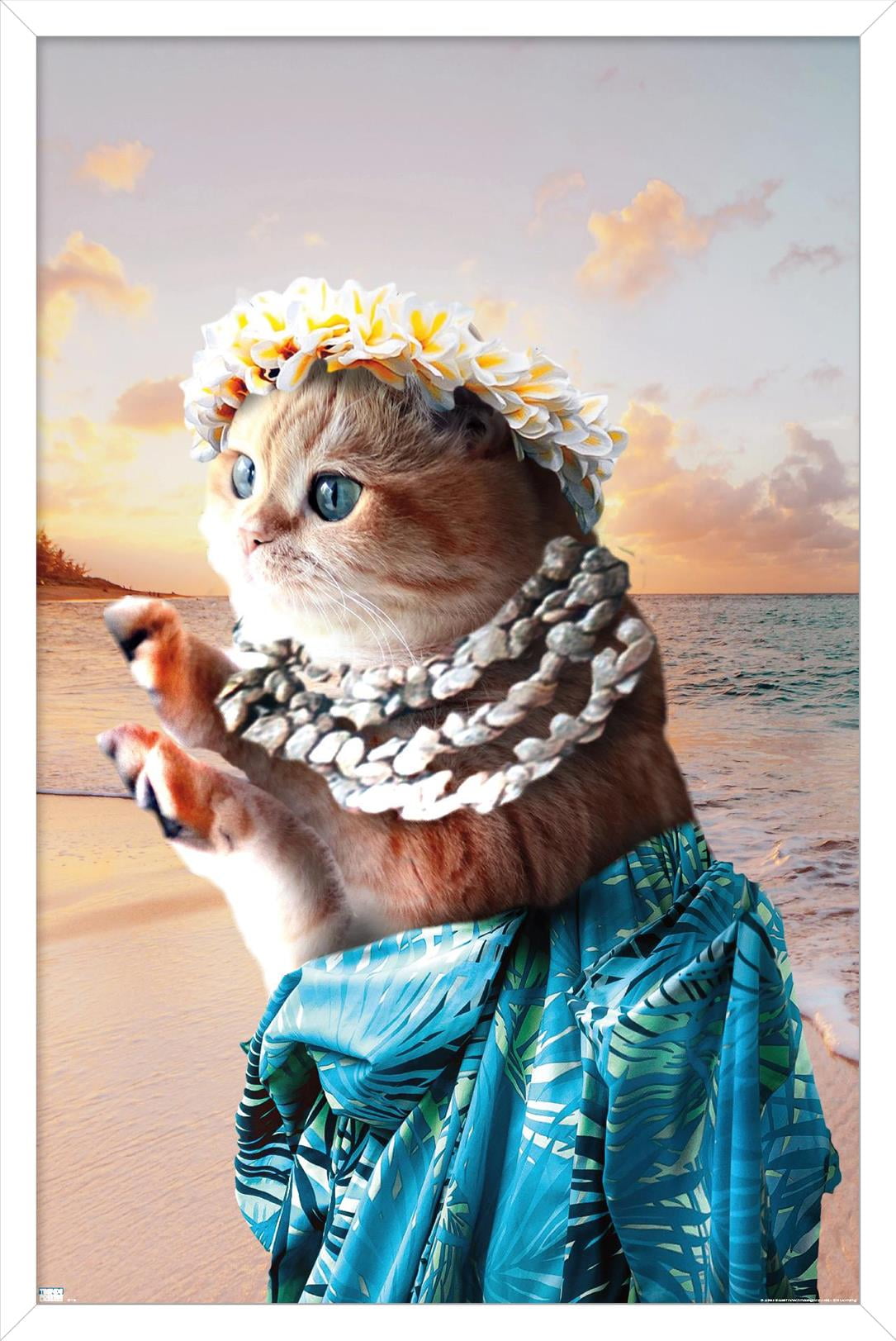 James Booker - Aloha Cat Wall Poster, 22.375" x 34" Framed - Walmart.com