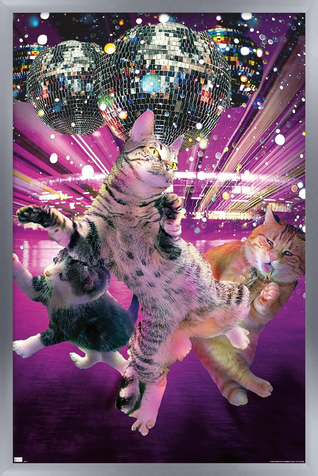 James Booker - Disco Cats Wall Poster, 14.725" x 22.375" Framed - Walmart.com