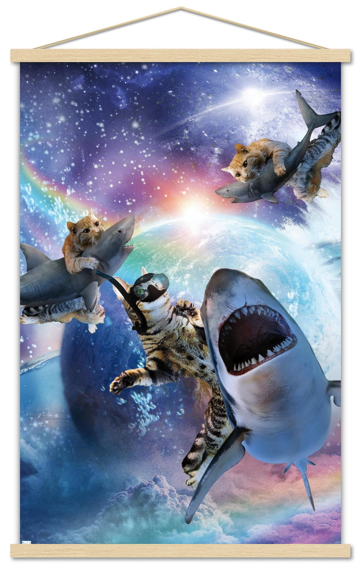 James Booker - Galaxy Cat Sharks Wall Poster with Magnetic Frame, 22. ...