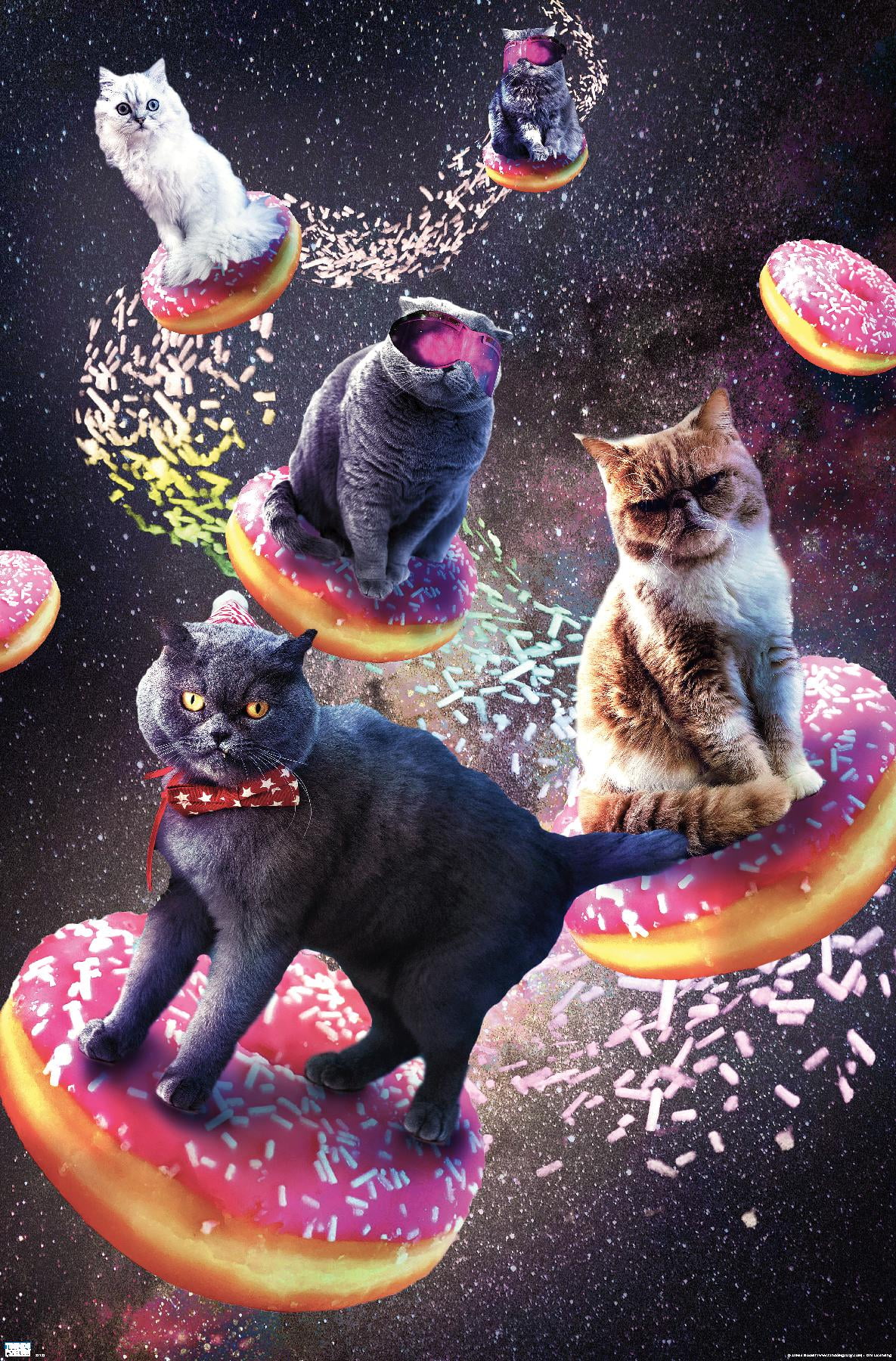 James Booker - Galaxy Space Cats Riding Donuts Wall Poster, 14.725" x ...
