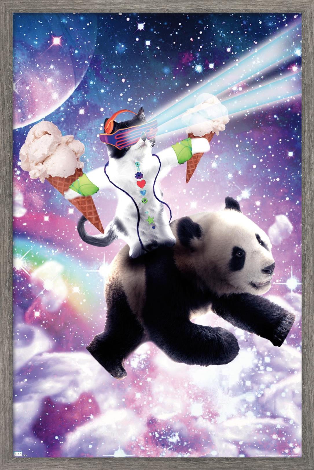 James Booker - Laser Rave Space Cat Wall Poster, 22.375" x 34", Framed ...