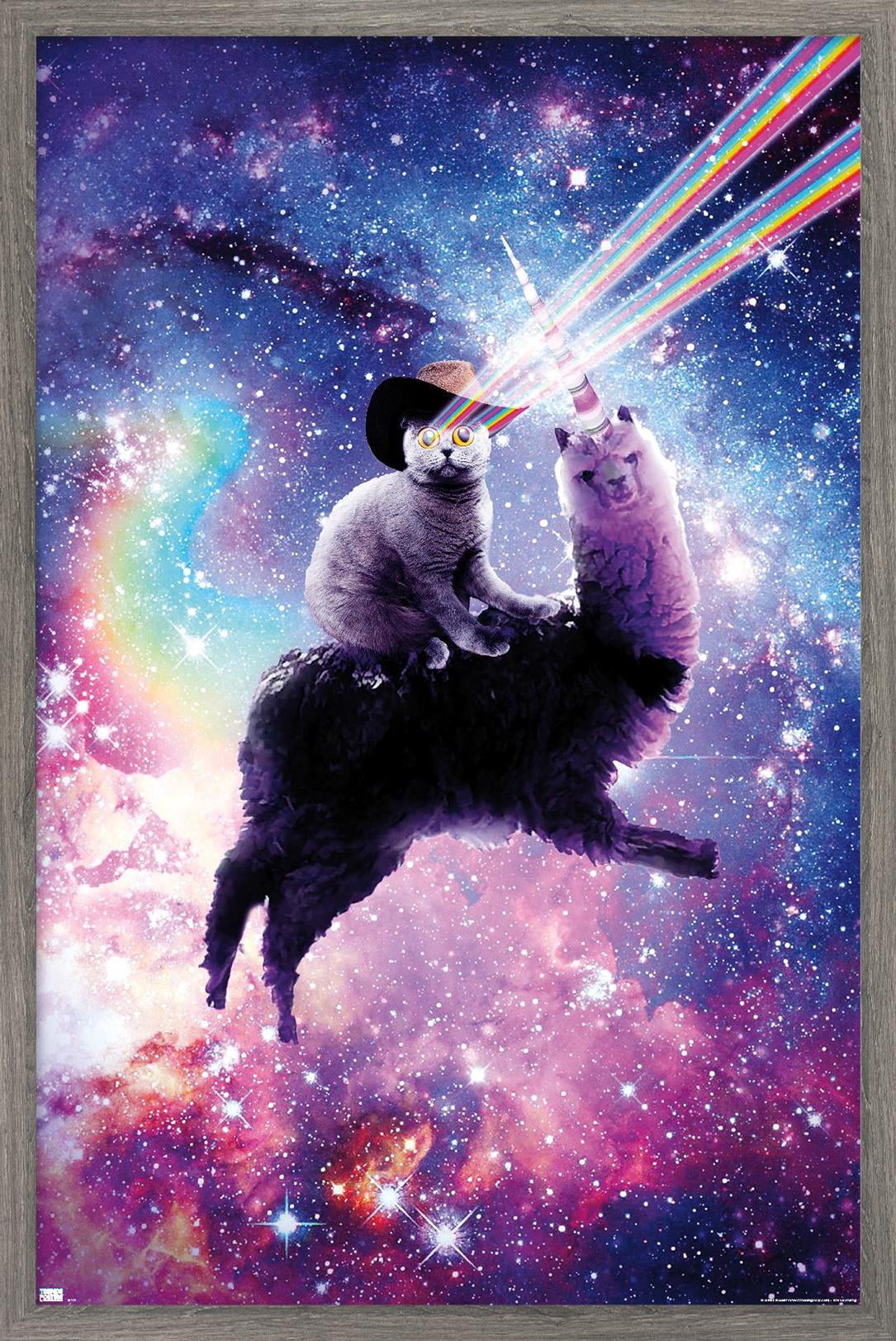 Space Cat Laser