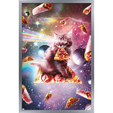James Booker - Space Sloth Llama Cat Riding Taco Wall Poster, 14.725" x ...