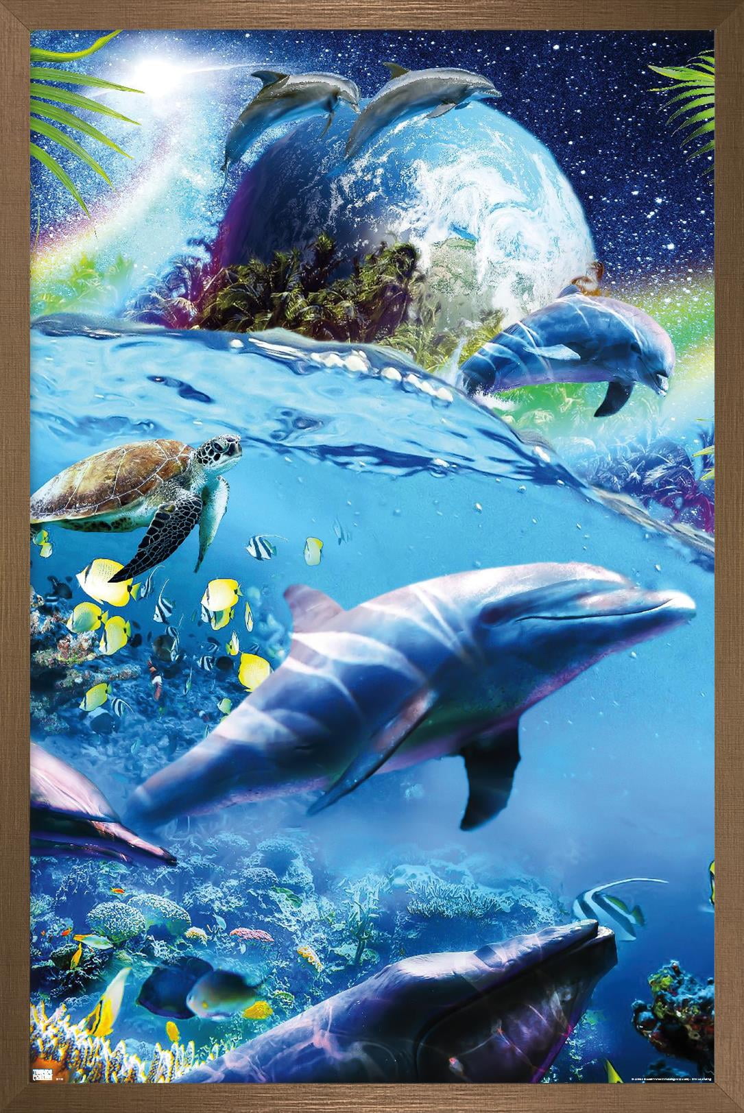 James Booker - Space Dolphins Wall Poster, 22.375" x 34" Framed ...