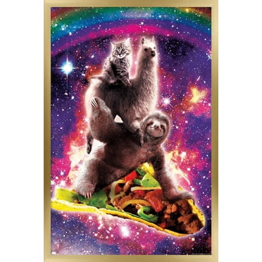 James Booker - Epic Space Sloth Riding On Unicorn Wall Poster, 14.725 ...