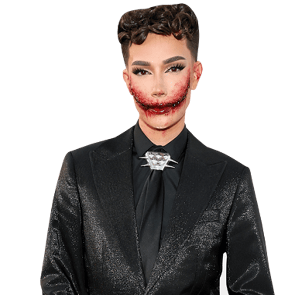 James Charles (Black Outfit) Half Body Buddy Cutout - Walmart.com
