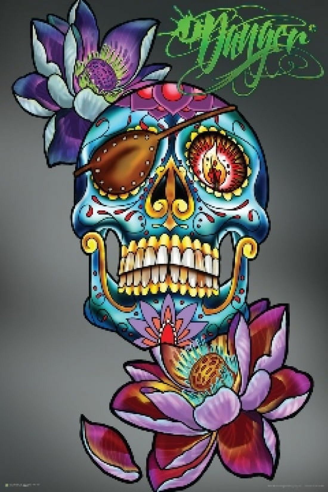 James Danger Harvey Jolly Roger Laminated Poster (24 X 36) - Walmart.com