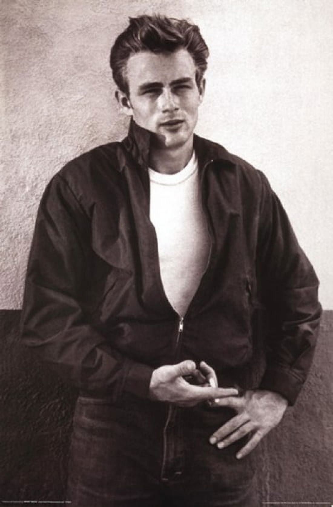 James Dean - Rebel Laminated Poster (24 x 36) - Walmart.com
